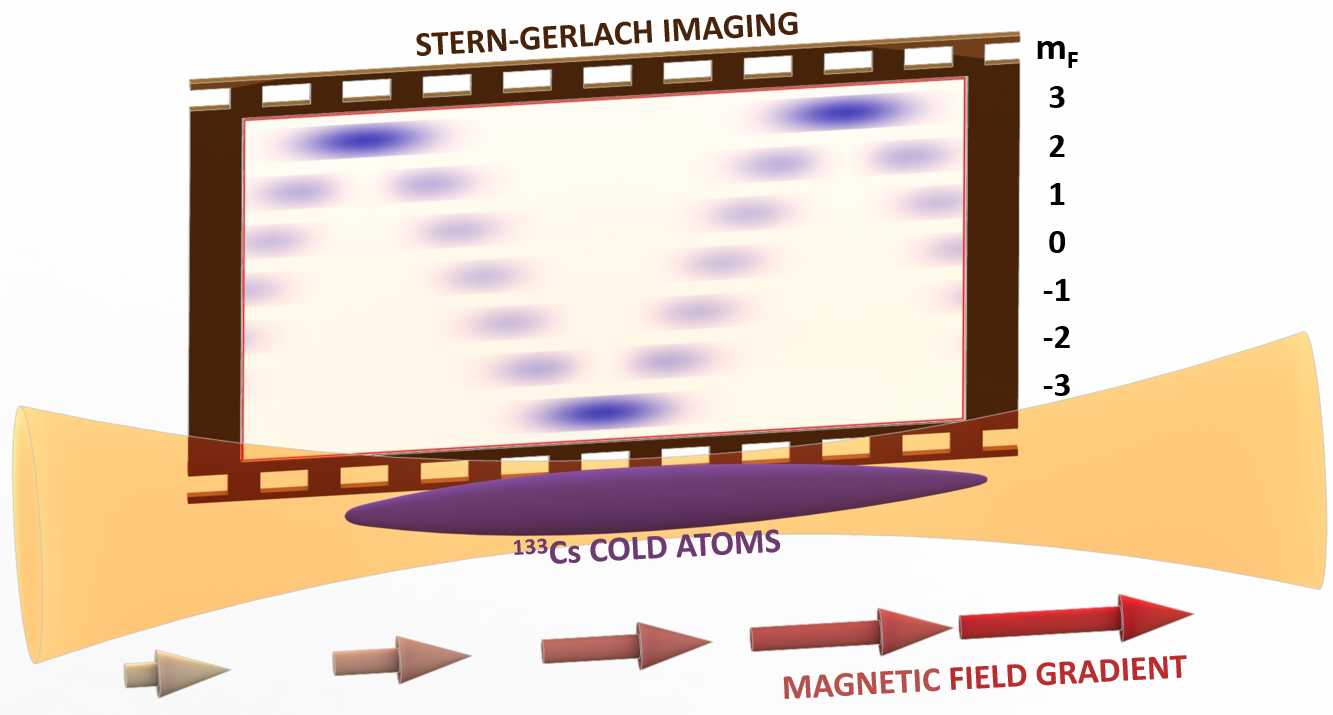 Single-shot measurement of magnetic gradients with cold cesium atoms ...